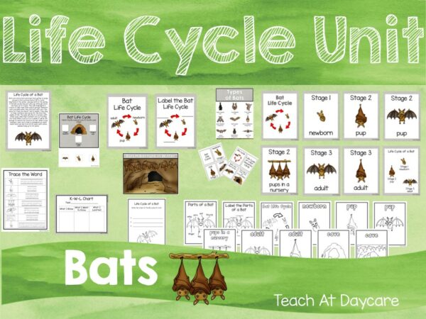Life Cycle of a Bat Science Curriculum Unit. - Made By Teachers