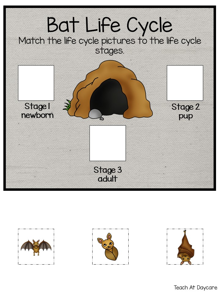 Life Cycle of a Bat Science Curriculum Unit. - Made By Teachers
