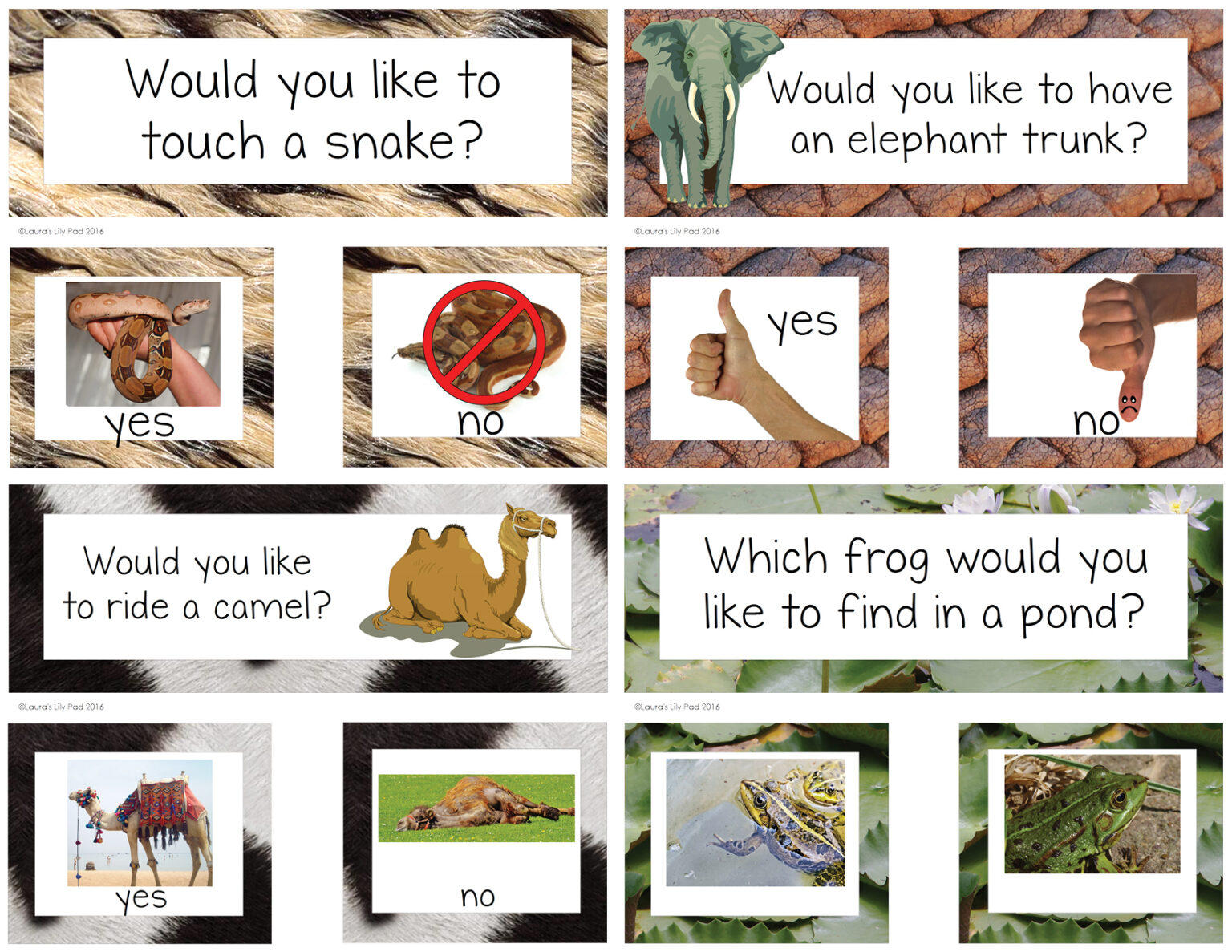 Animals Question of the Day - Made By Teachers