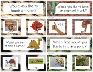 Animals Question of the Day | Made By Teachers