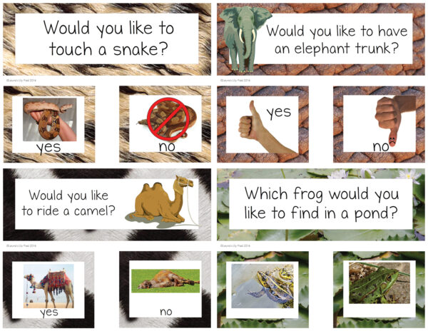 Animals Question of the Day | Made By Teachers