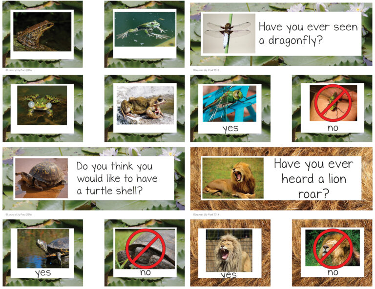 Animals Question of the Day | Made By Teachers