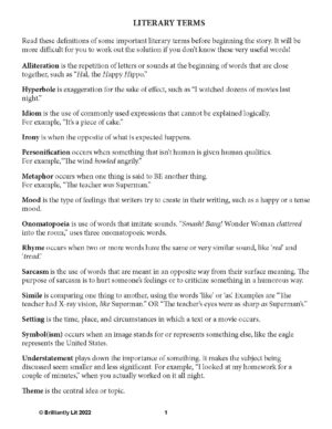 READING COMPREHENSION MYSTERY PASSAGE: Mystery of the Literary Terms ...