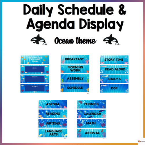 Schedule Card Labels and Daily Agenda Reminders Classroom Display Ocean ...