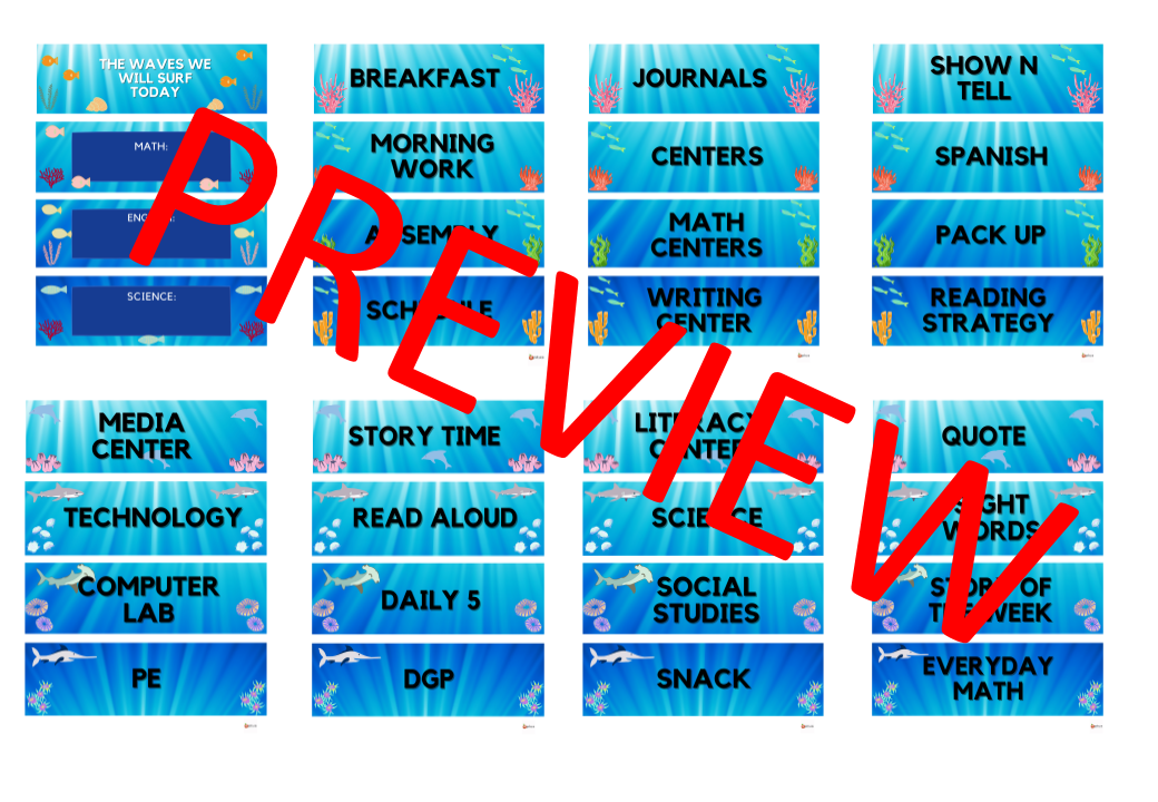 Schedule Card Labels and Daily Agenda Reminders Classroom Display Ocean ...