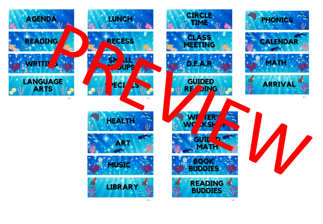 Schedule Card Labels and Daily Agenda Reminders Classroom Display Ocean ...