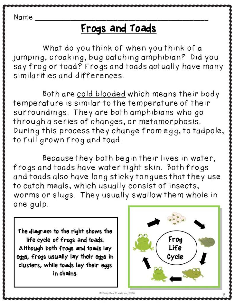 Frog and Toad All Year Book Study - Made By Teachers