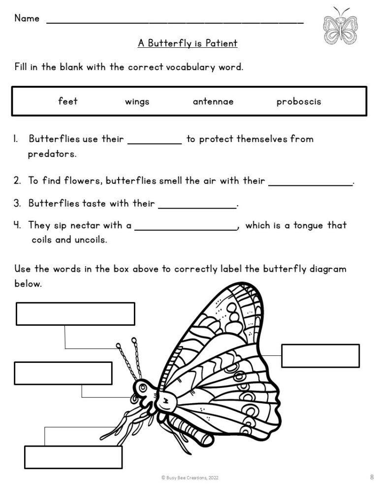 A Butterfly is Patient Story Resource - Made By Teachers
