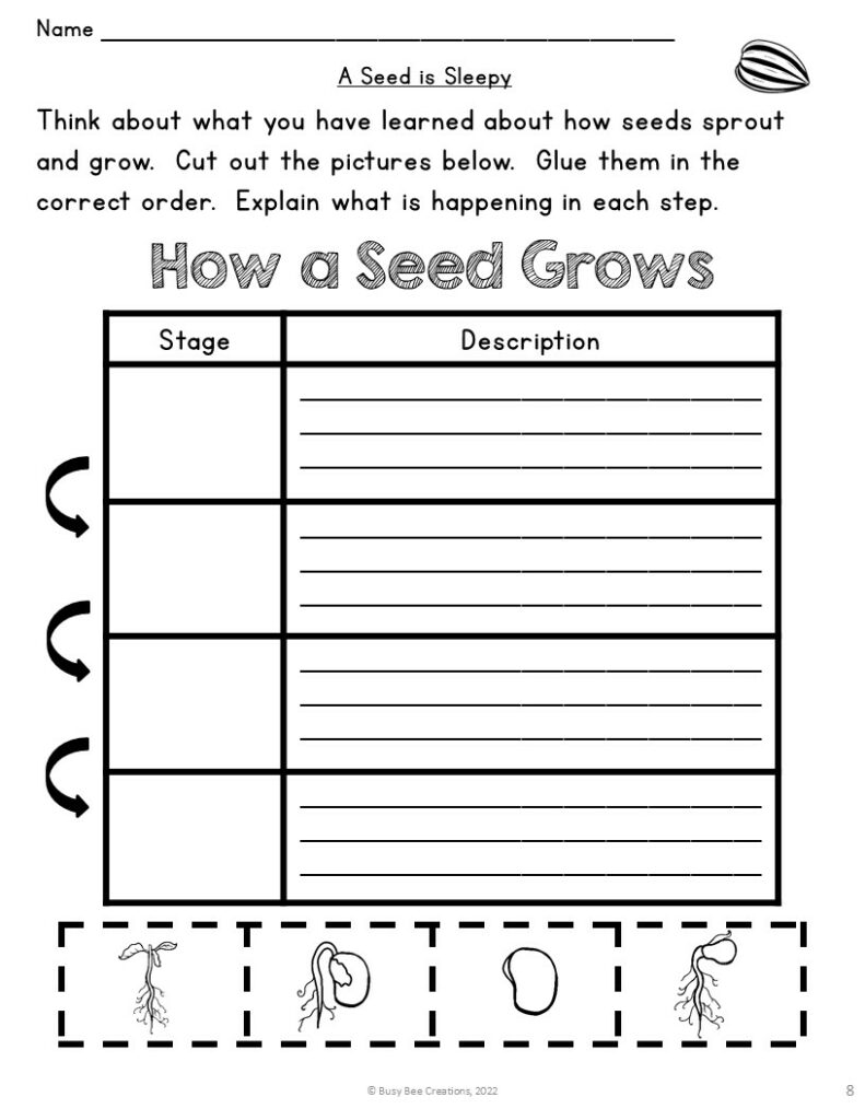 A Seed is Sleepy - Story Resource | Made By Teachers