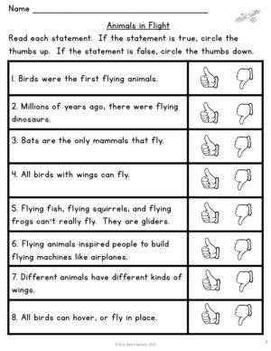 Animals in Flight - Story Resource | Made By Teachers