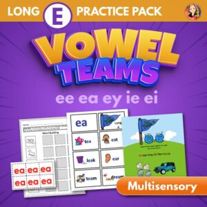 Long E Vowel Sound Activities and Worksheets - Made By Teachers