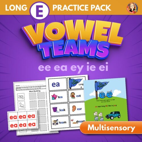 Long E Vowel Sound Activities and Worksheets - Made By Teachers