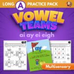 Long A Vowel Sound Activities and Worksheets - Made By Teachers