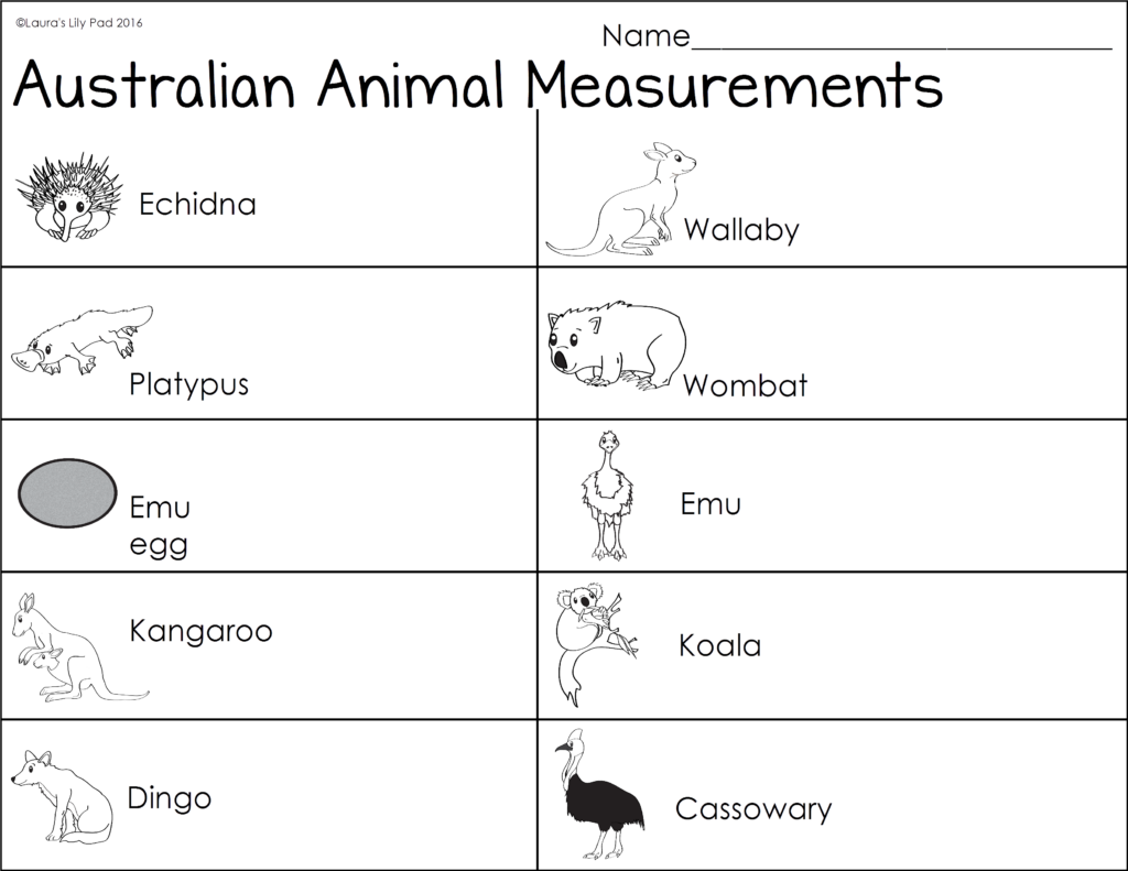Australian Animals Measurement Center - Made By Teachers