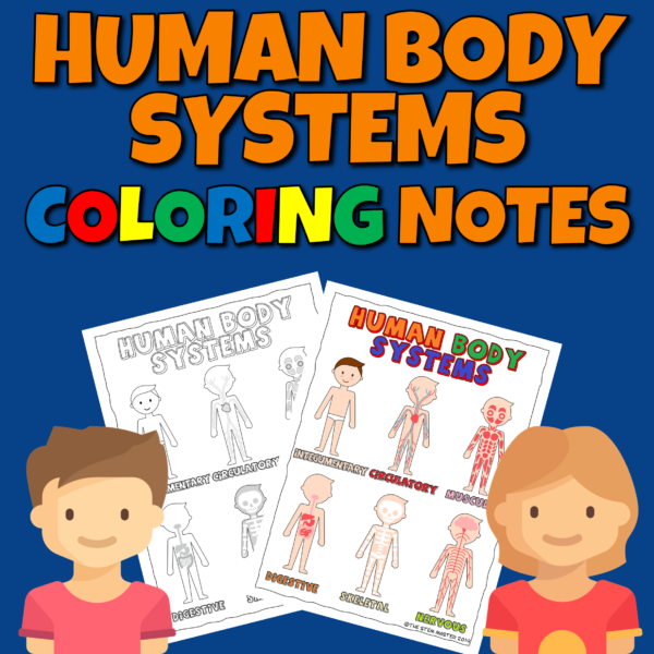 Human Body Systems Coloring Notes | Made By Teachers