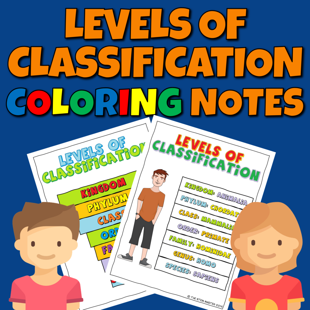 Levels of Classification Coloring Notes | Made By Teachers