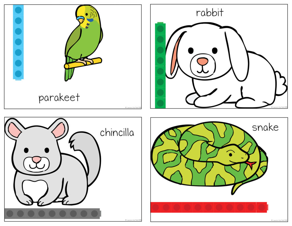 Pets Measurement Center - Made By Teachers