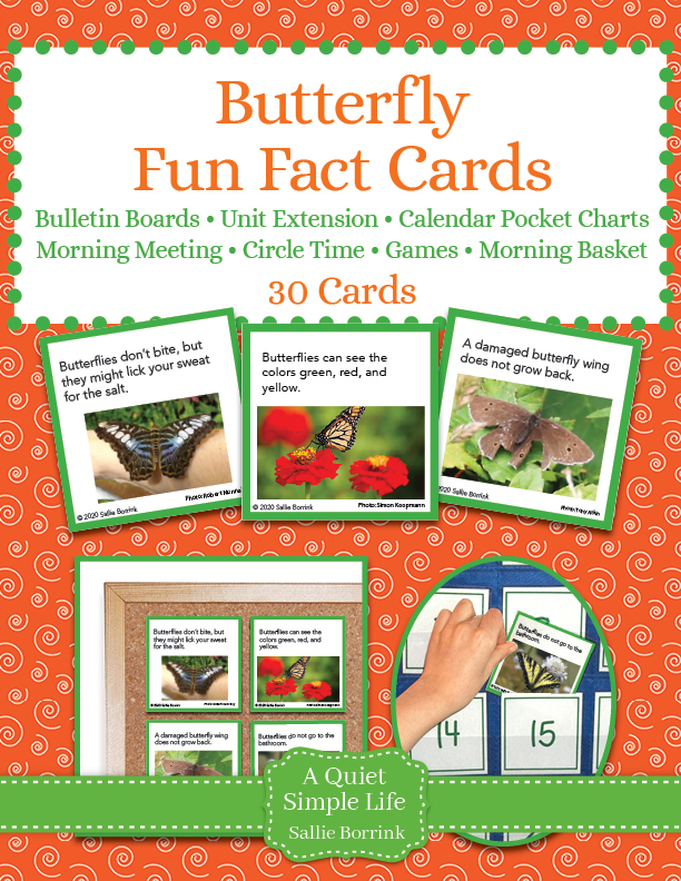 Fun Fact Cards - Made By Teachers