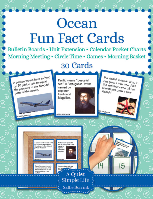 Fun Fact Cards - Made By Teachers