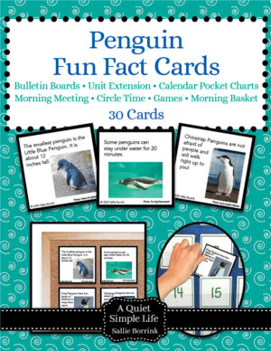Fun Fact Cards - Made By Teachers