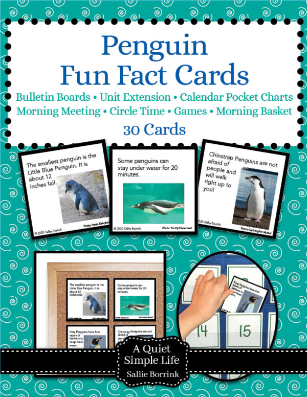 Fun Fact Cards - Made By Teachers