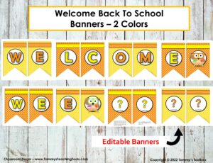 All About Me Back To School Bulletin Board - Owl Theme - Made By Teachers