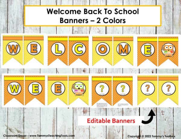 All About Me Back To School Bulletin Board - Owl Theme - Made By Teachers