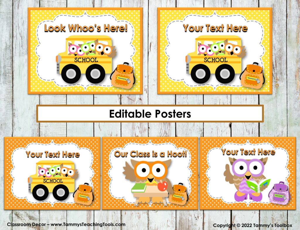 All About Me Back To School Bulletin Board - Owl Theme - Made By Teachers