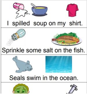 S/SH Sentences: All Positions | Made By Teachers