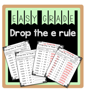 Changing Y to I Spelling Rule | Changing Rule Assessment - Made By Teachers