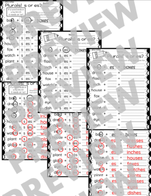 Plurals add s or es | Plural Spelling Rule | Differentiated Assessment ...