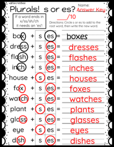 Plurals add s or es | Plural Spelling Rule | Differentiated Assessment ...