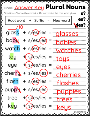 Plurals add s es ies | Mixed Plurals | Plural Nouns Assessment | Made ...