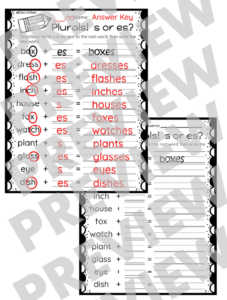 Plurals add s or es | Plurals Assessment - Made By Teachers