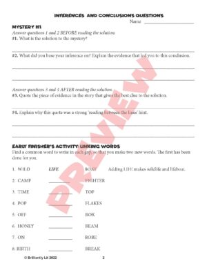 20 READING COMPREHENSION MYSTERY STORIES: Inferences & Conclusions ...