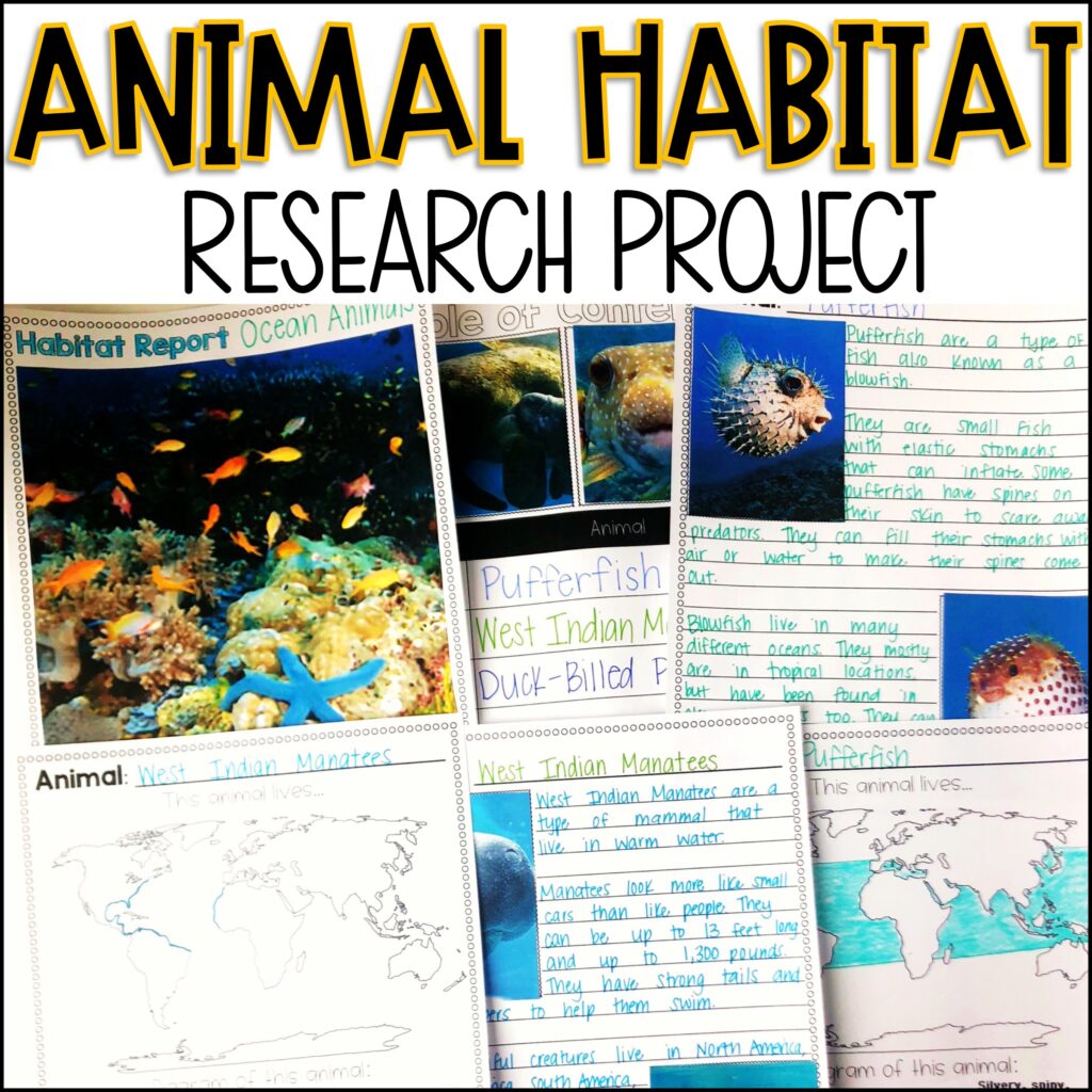 Animal Research Report Template | Informative Writing Prompt | Made By ...