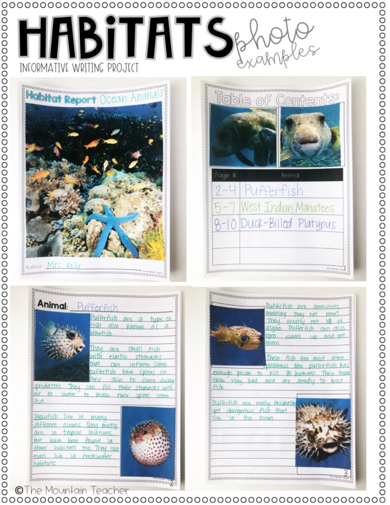 Animal Research Report Template | Informative Writing Prompt | Made By ...