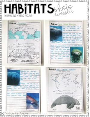 Animal Research Report Template | Informative Writing Prompt | Made By ...