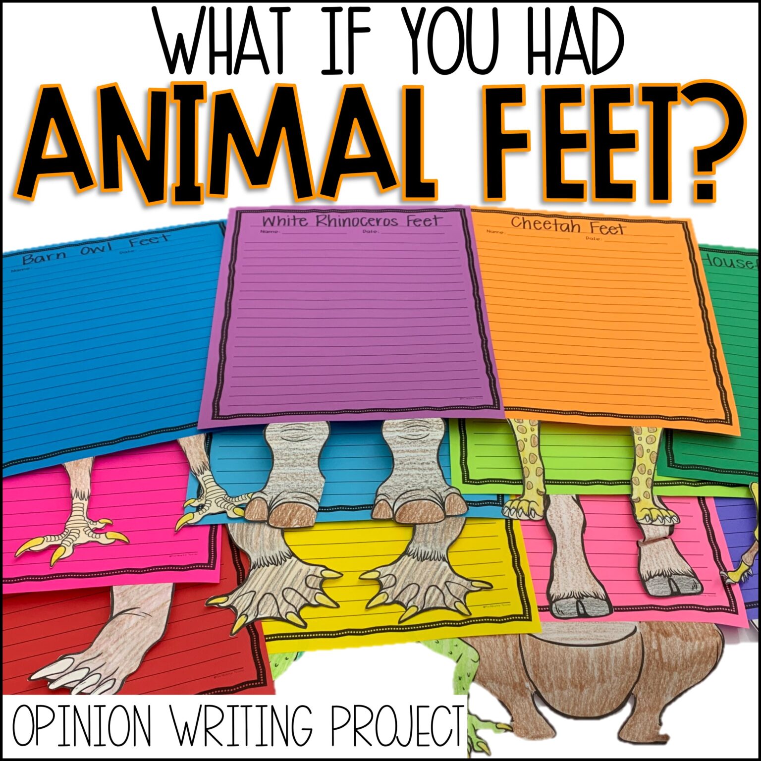 What If You Had Animal Feet Writing Activity | Animal Adaptation ...