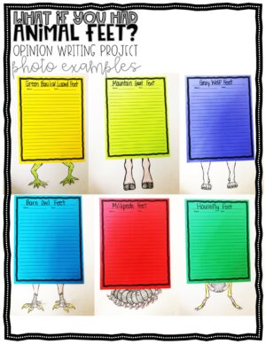 What If You Had Animal Feet Writing Activity | Animal Adaptation ...