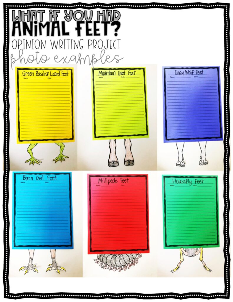 What If You Had Animal Feet Writing Activity | Animal Adaptation ...
