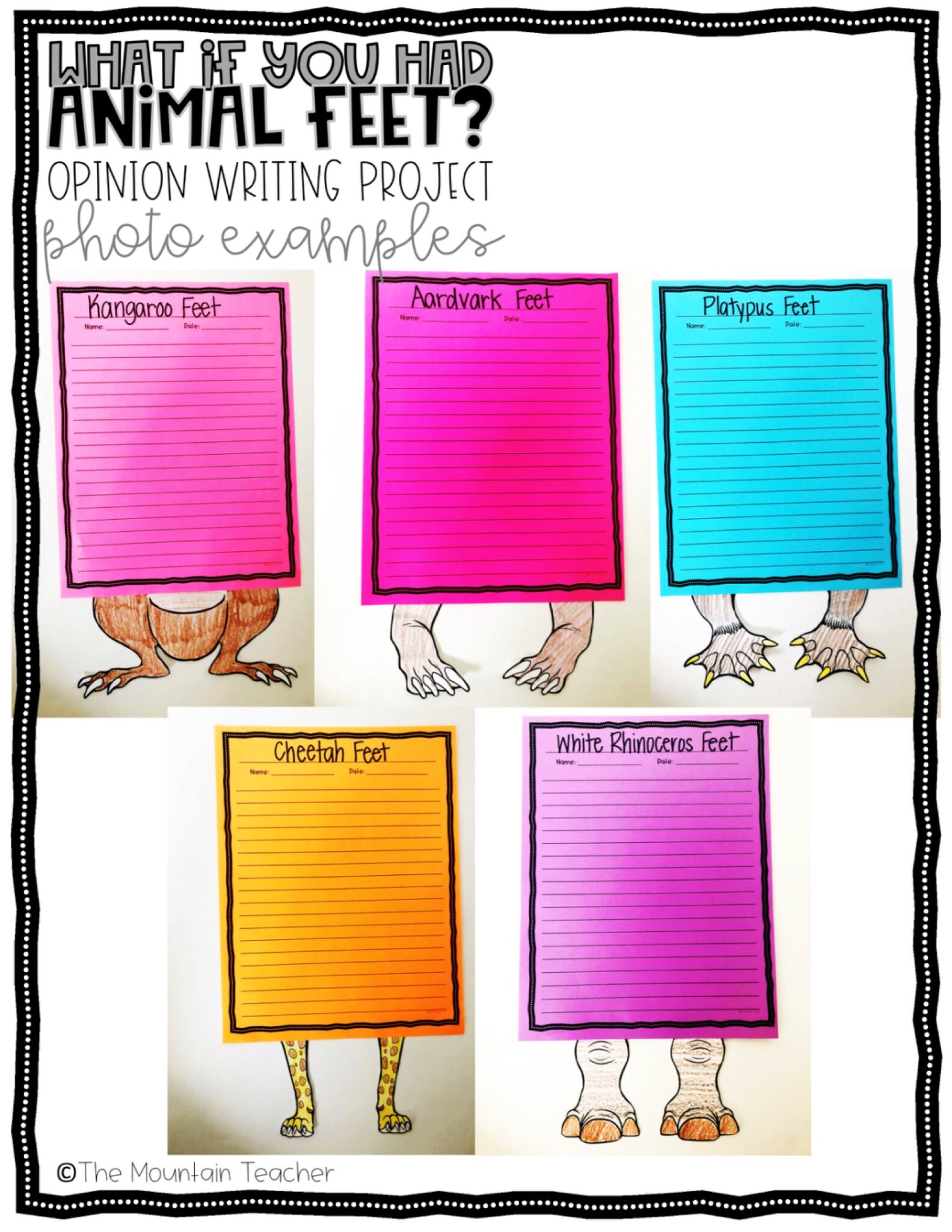 What If You Had Animal Feet Writing Activity | Animal Adaptation ...