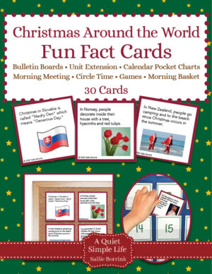 Fun Fact Cards - Made By Teachers