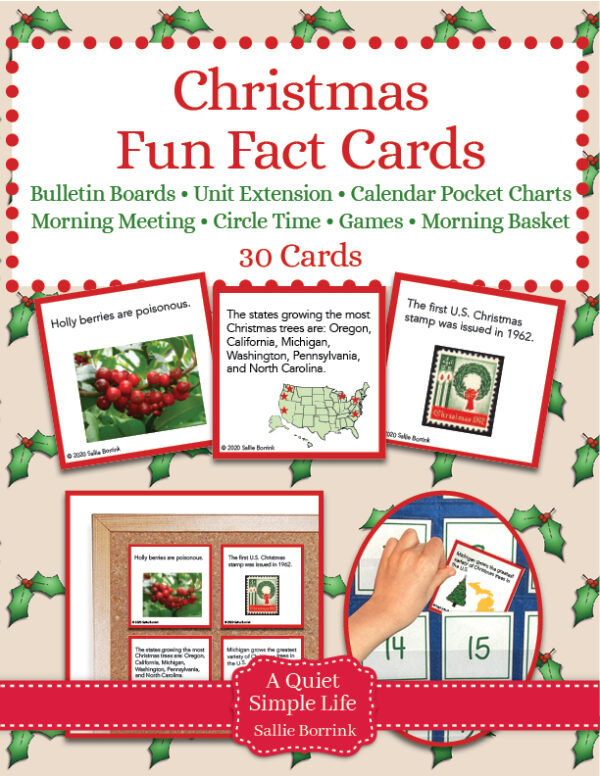 Fun Fact Cards - Made By Teachers