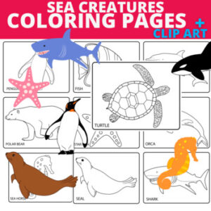 Ocean Animals Coloring Pages & Ocean Animals Clipart - Made By Teachers