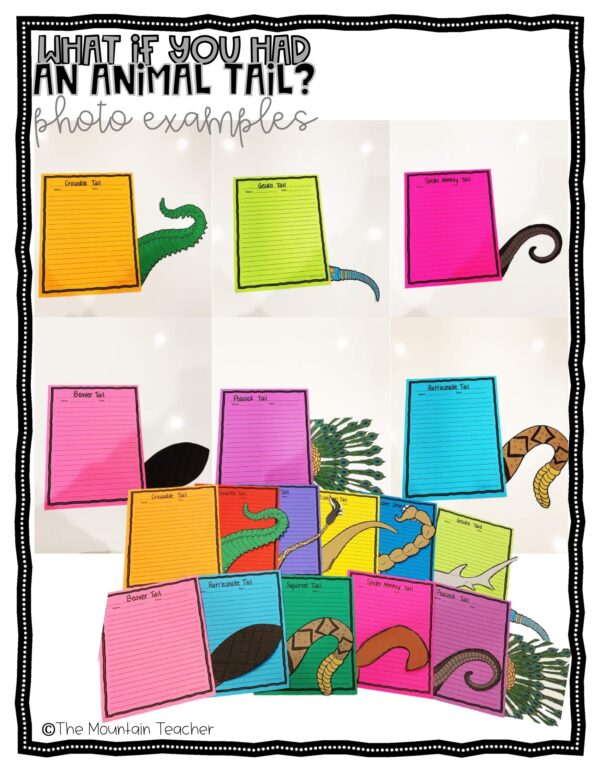 What If You Had an Animal Tail Writing Activity | Animal Adaptation ...