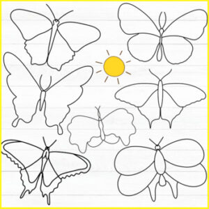 Spring Theme Butterfly Templates Outlines Clip Art Set HQ :) - Made By ...
