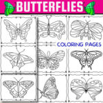 Spring Theme Butterfly Coloring Pages For Kids HQ | Made By Teachers