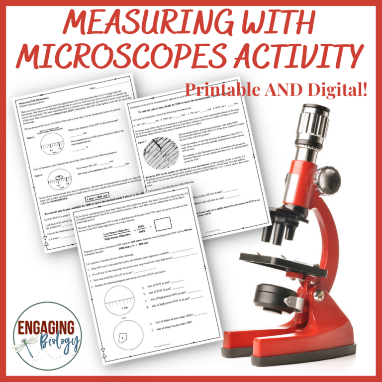 Measuring with Microscopes Guided Learning Activity - Made By Teachers