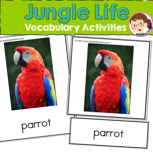 Vocabulary Activities - Jungle Animals Theme - Safari Animals Theme ...